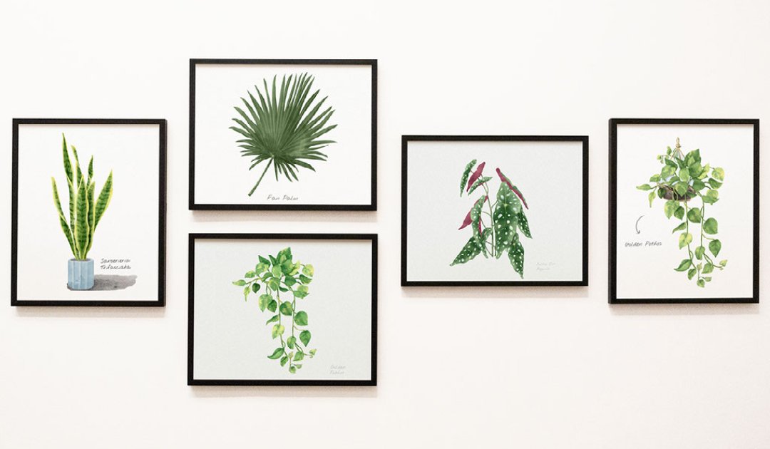 Finding Distinctive Gifts: Framed Nature Prints — with Heidi Joy