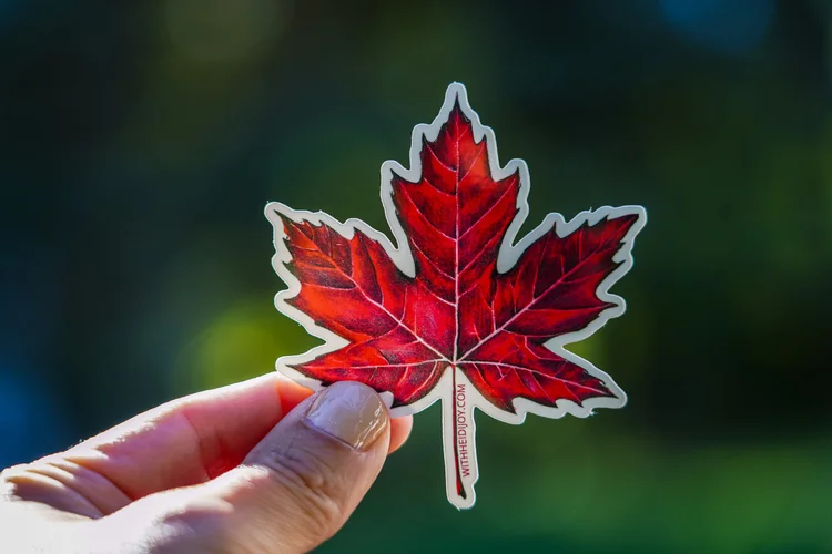 Shop | Shop Beautiful Nature Art — with Heidi Joy