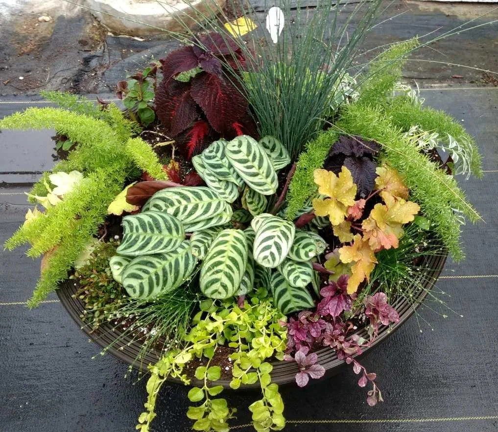 Custom Growing - Greenbush Greenhouses and Farm