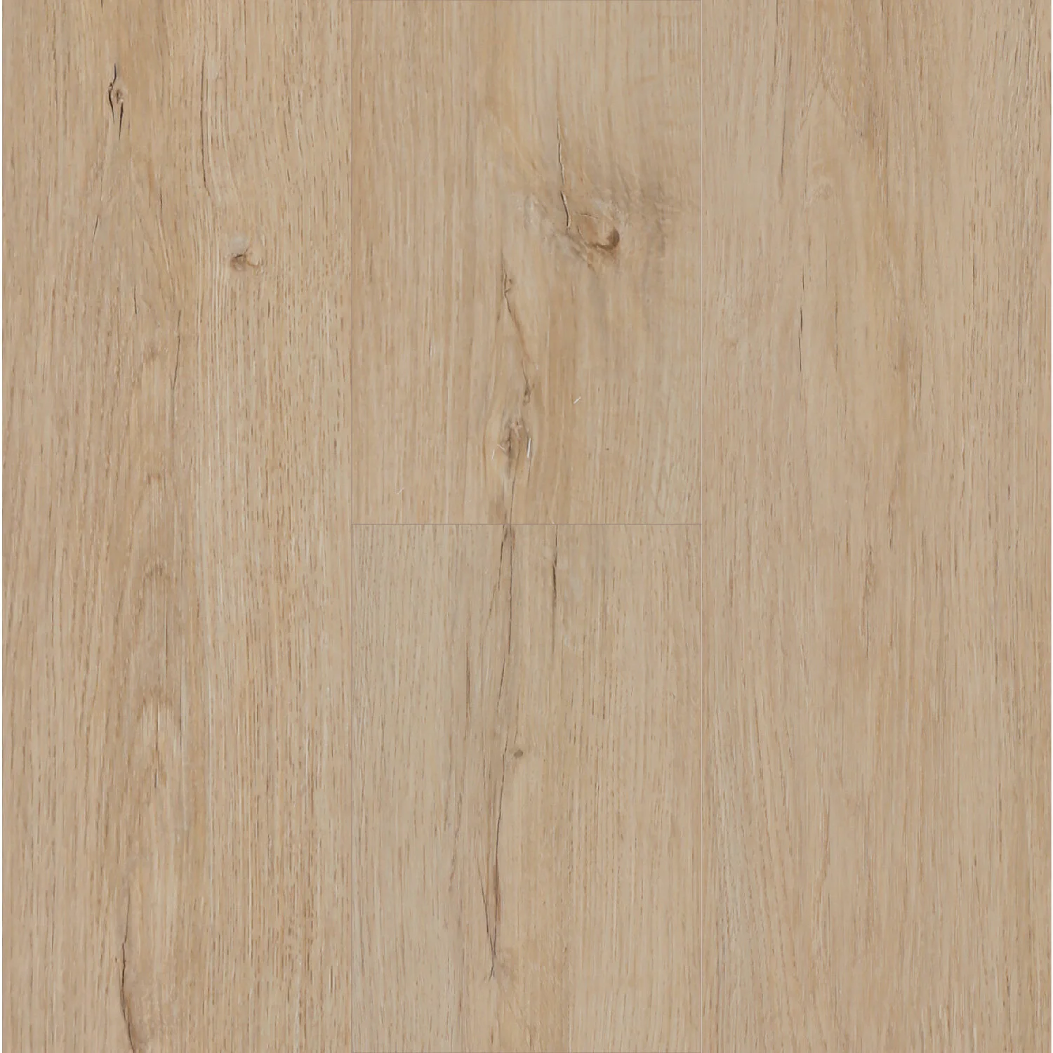 Everwood — Next Floor®