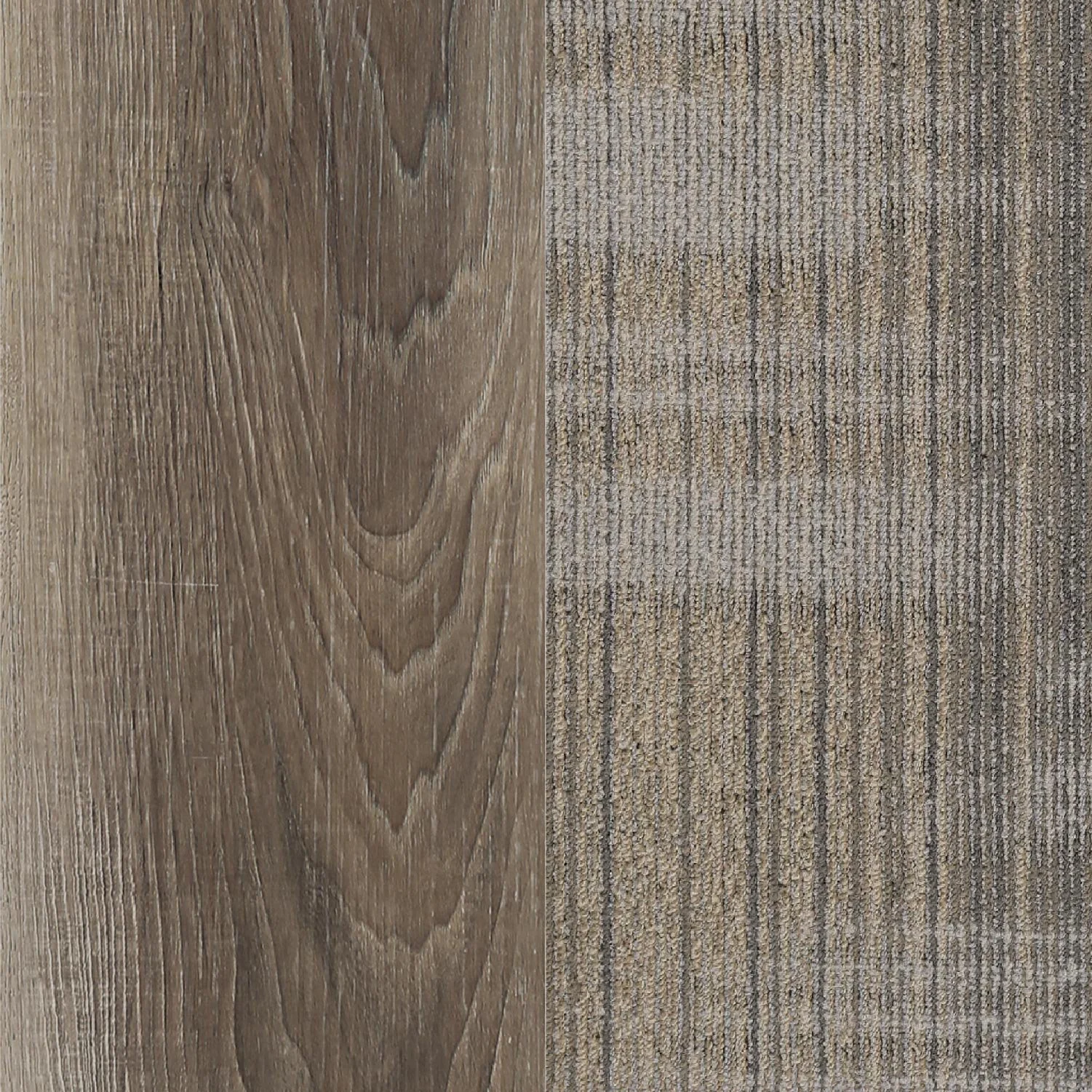 Coastal Resort — Next Floor®