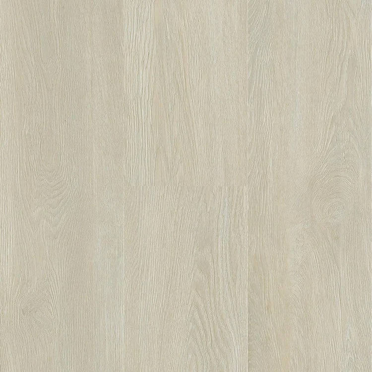 Indestructible — Next Floor®