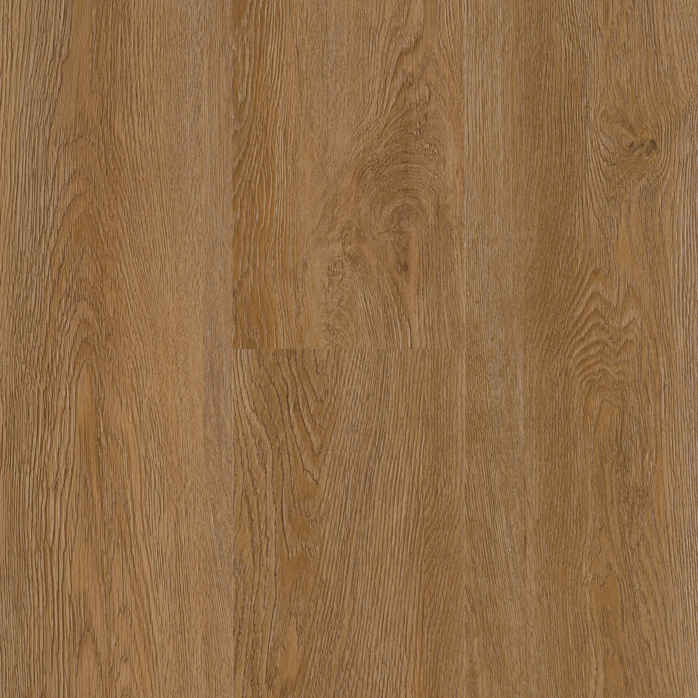 Indestructible — Next Floor®