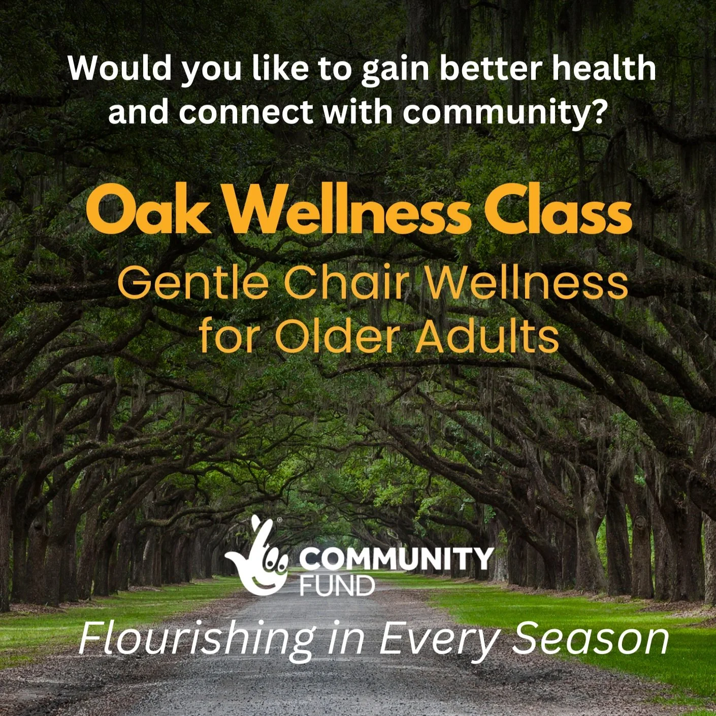 Wellness Class Yoga + Fitness | St. Albert — Wellness Within