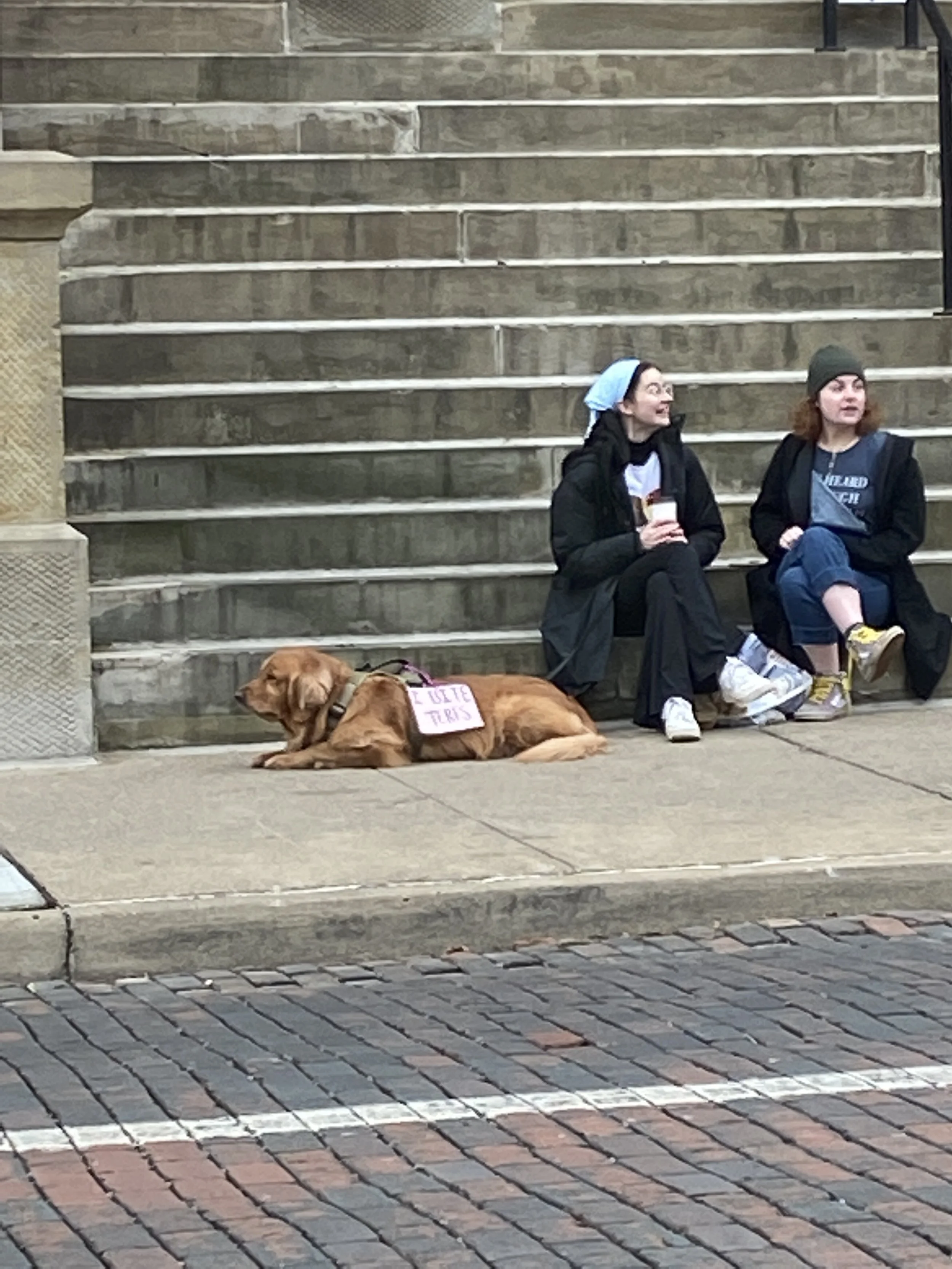 Athens community members protest Artifacts Gallery owner Amy Mangano ...