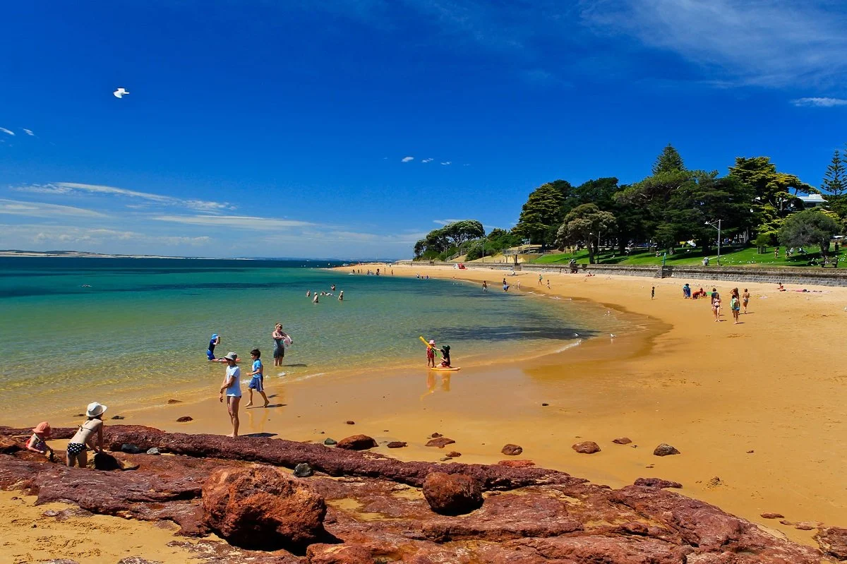 Bass Coast Shire Council ESD Policy — Rewild Agency