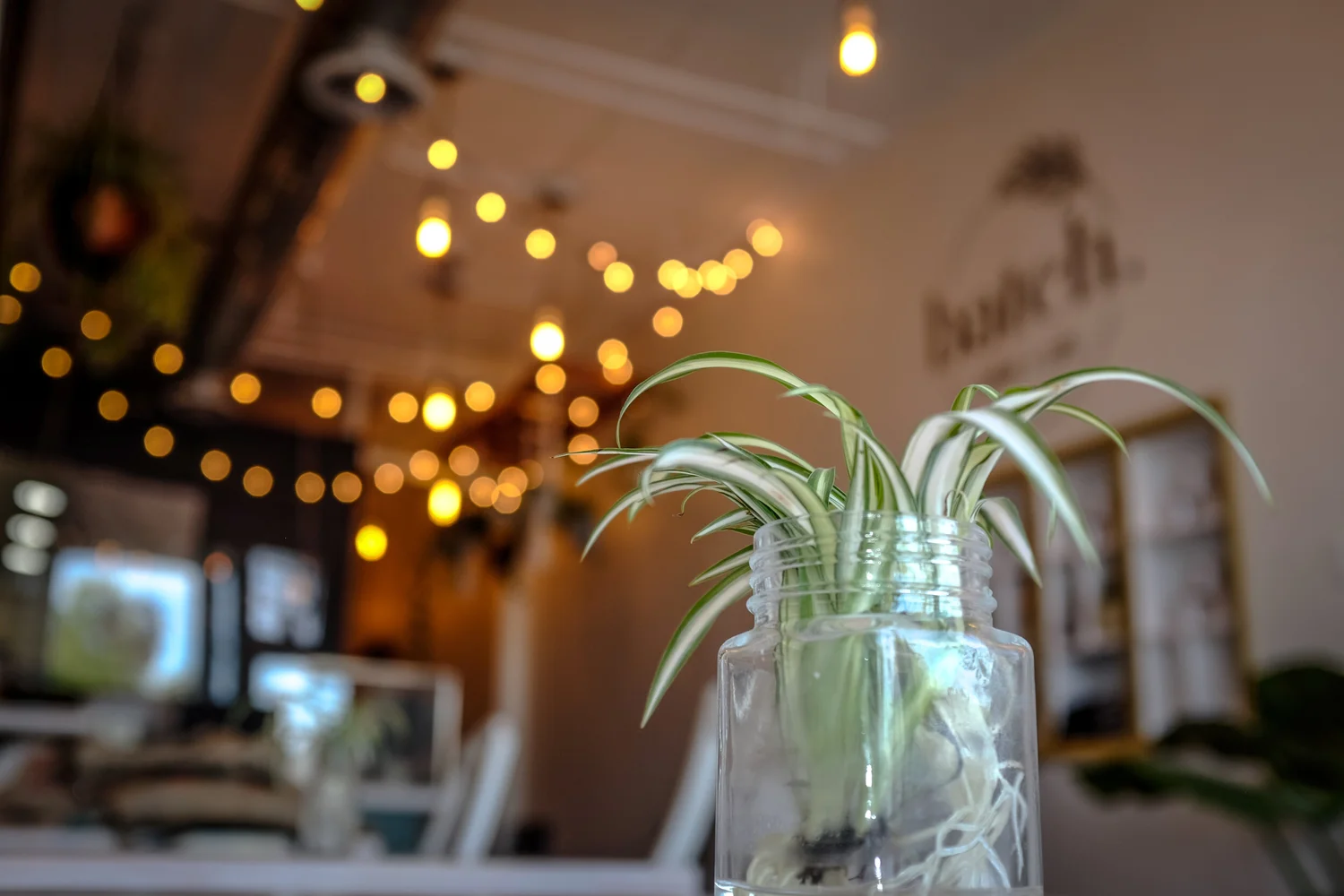 batch. coffee, cafe, juice