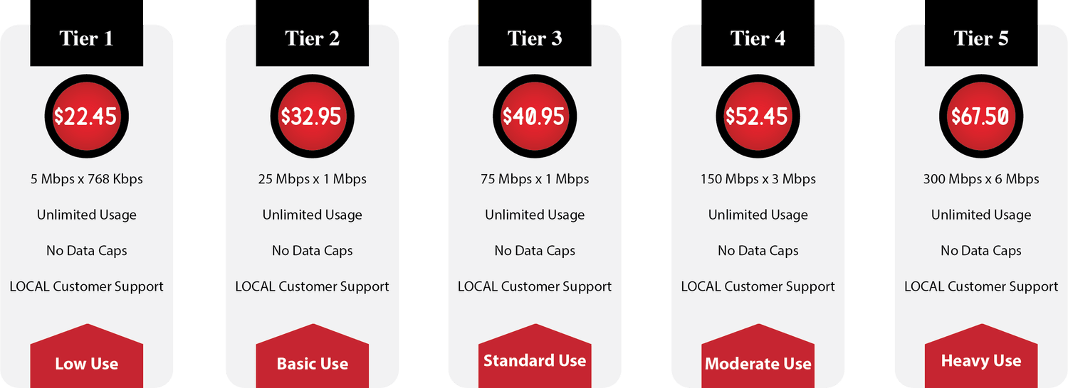 Services 4 — Murray Electric System