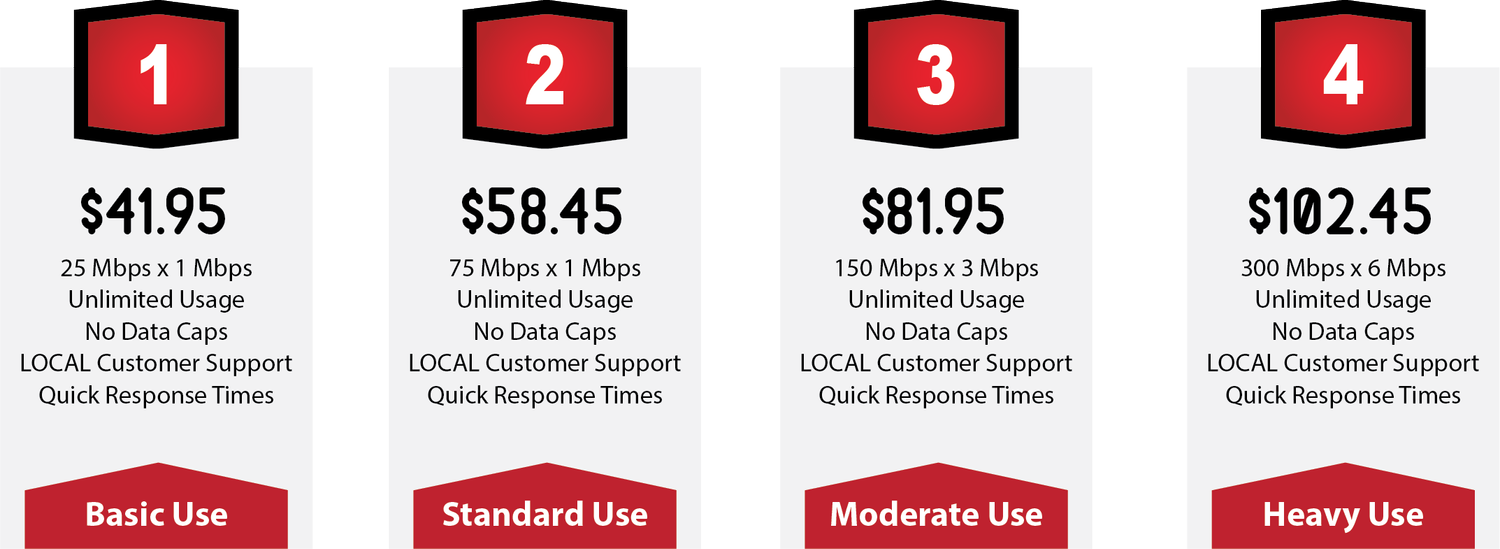 Services 4 — Murray Electric System