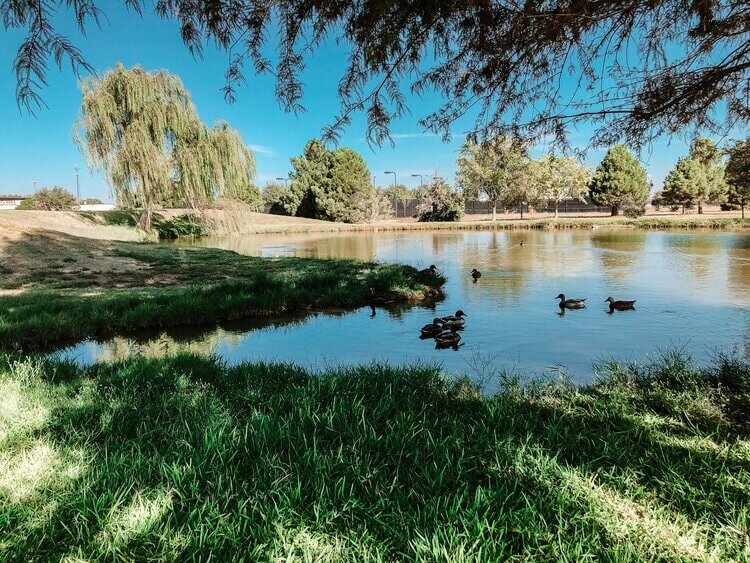 The Best Places for Outdoor Fun In Odessa, Texas