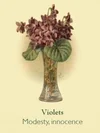 Floriography: The Secret Language of Flowers in the Victorian Era ...