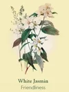 Floriography: The Secret Language of Flowers in the Victorian Era ...