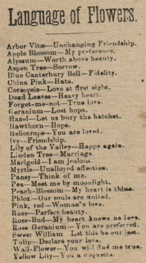 Floriography: The Secret Language of Flowers in the Victorian Era ...