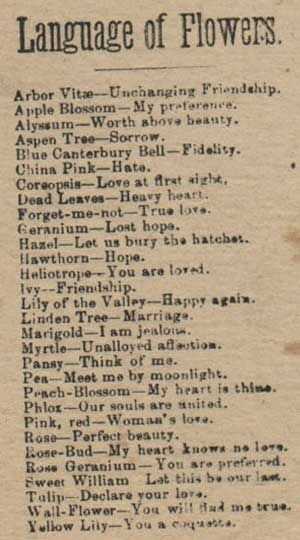 Floriography: The Secret Language of Flowers in the Victorian Era ...