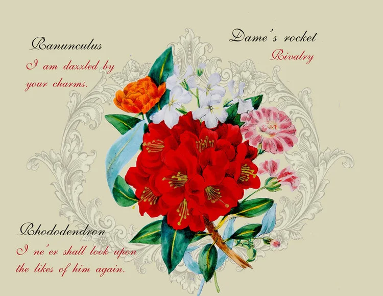Floriography: The Secret Language of Flowers in the Victorian Era ...