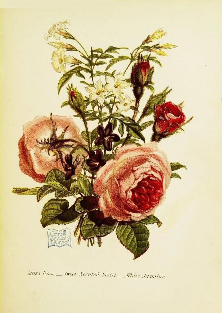 Floriography: The Secret Language of Flowers in the Victorian Era ...
