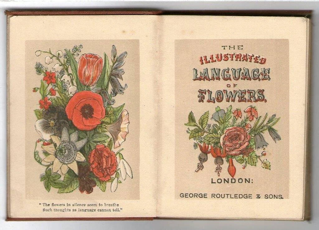 Floriography: The Secret Language of Flowers in the Victorian Era ...