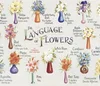 Floriography: The Secret Language of Flowers in the Victorian Era ...