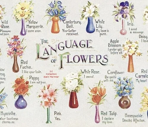 Floriography: The Secret Language of Flowers in the Victorian Era ...