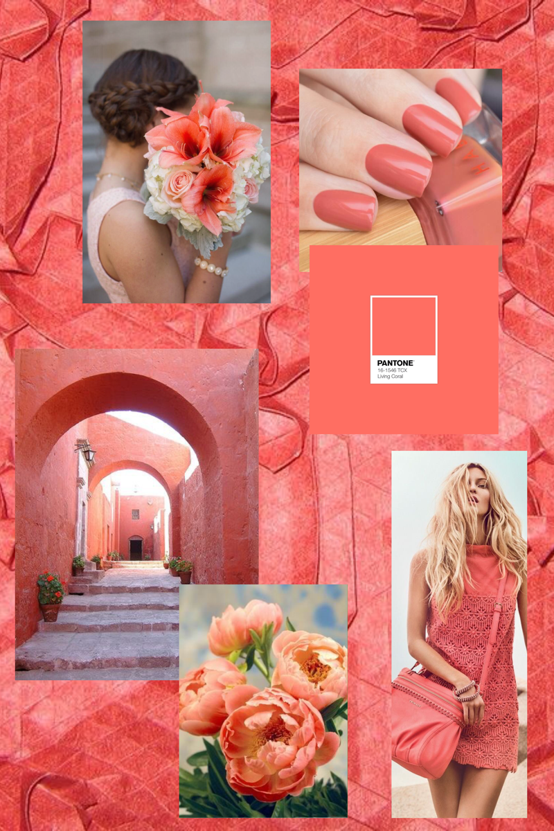 Living Coral Pantone color of the year — Colors in Style By Kari