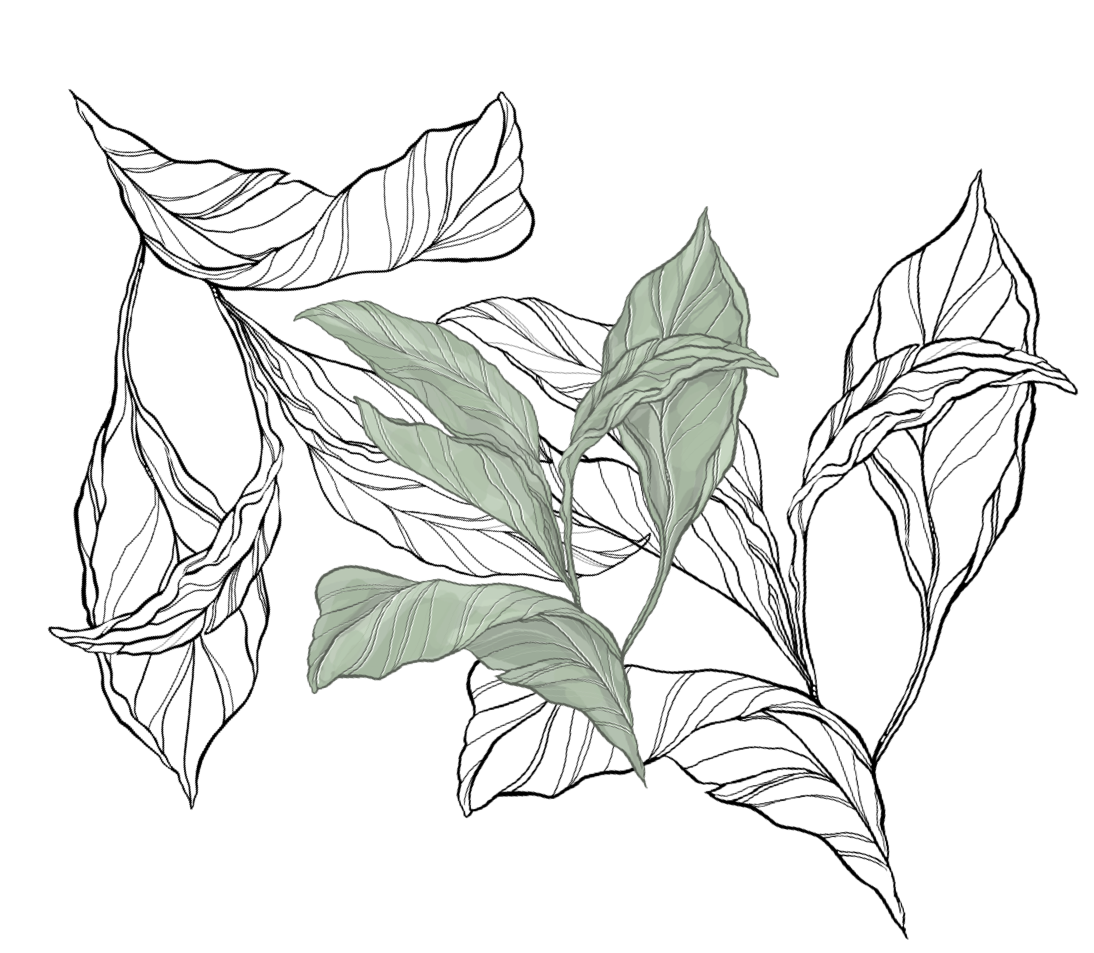 The Leaf Protein Co.