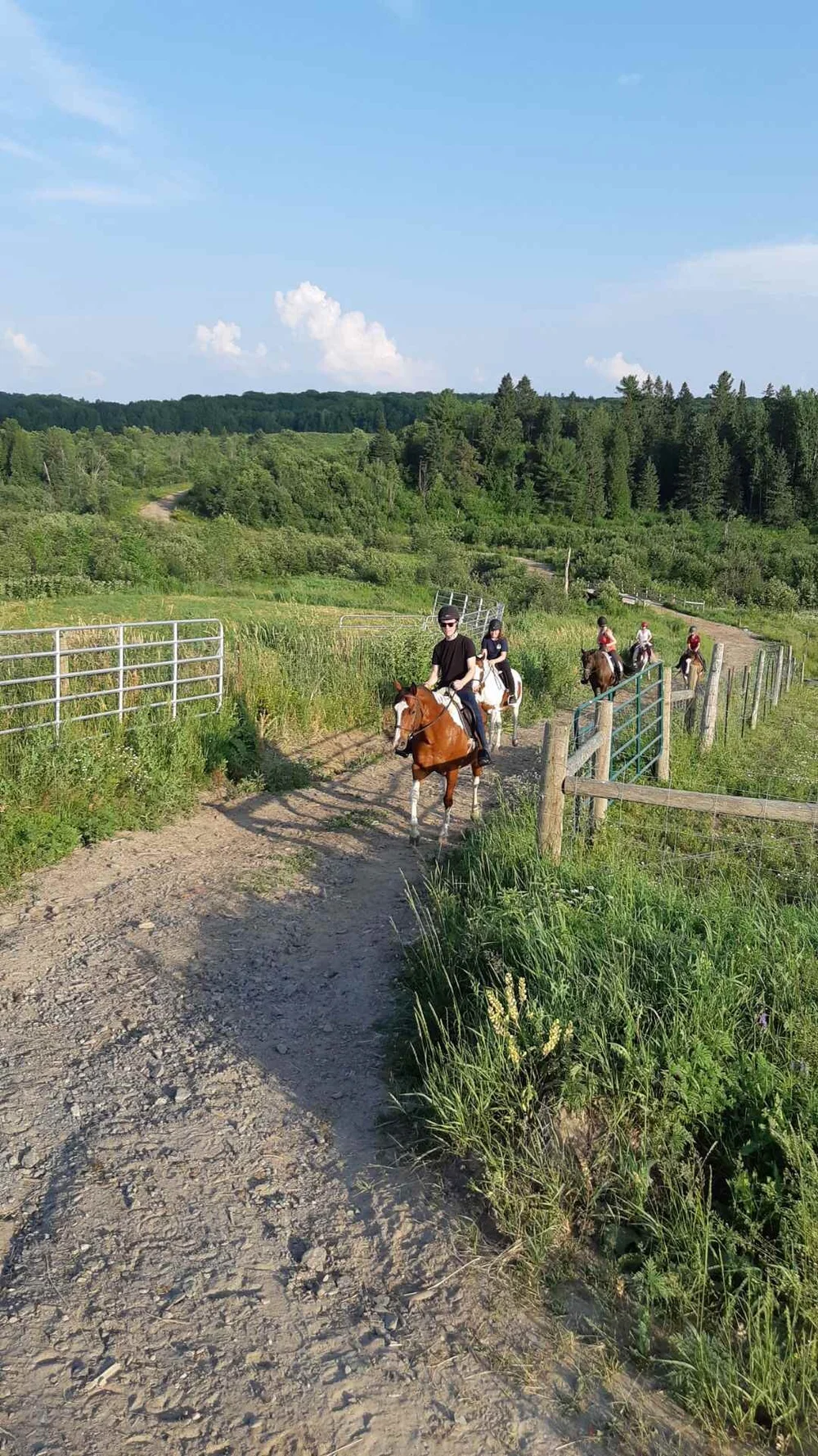 Services 3 — Maple Lane Farms