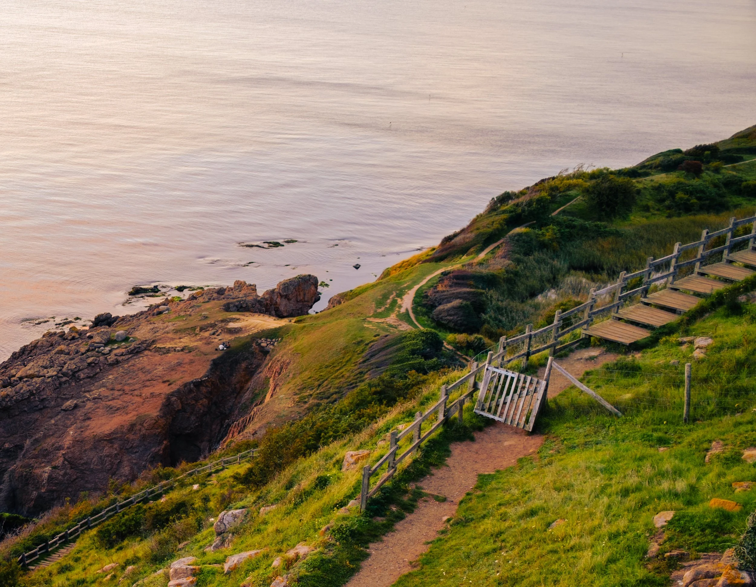 Contact — Sophia Li