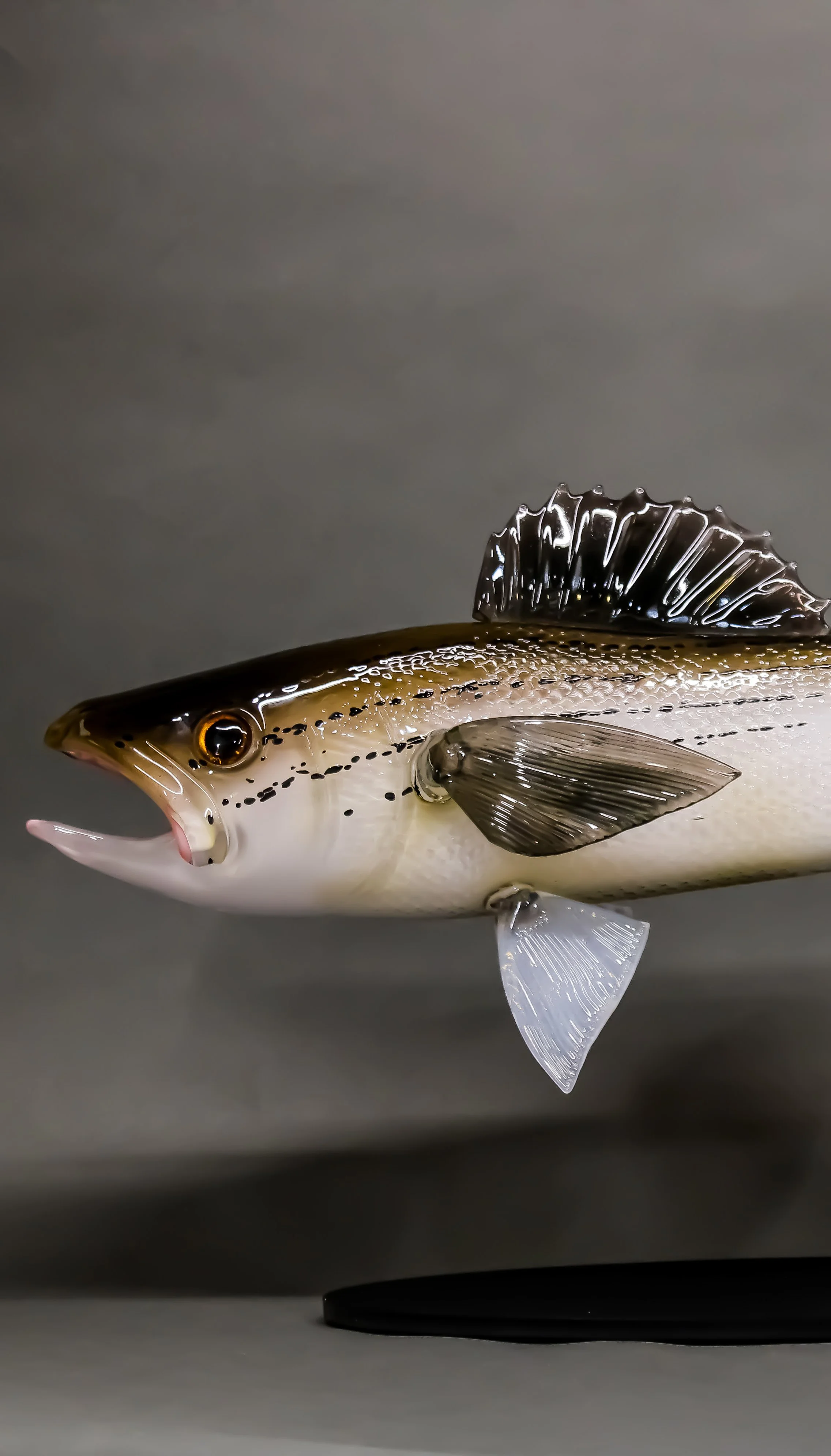 Shop for Blown Glass Fish — Martin Gerdin Glass