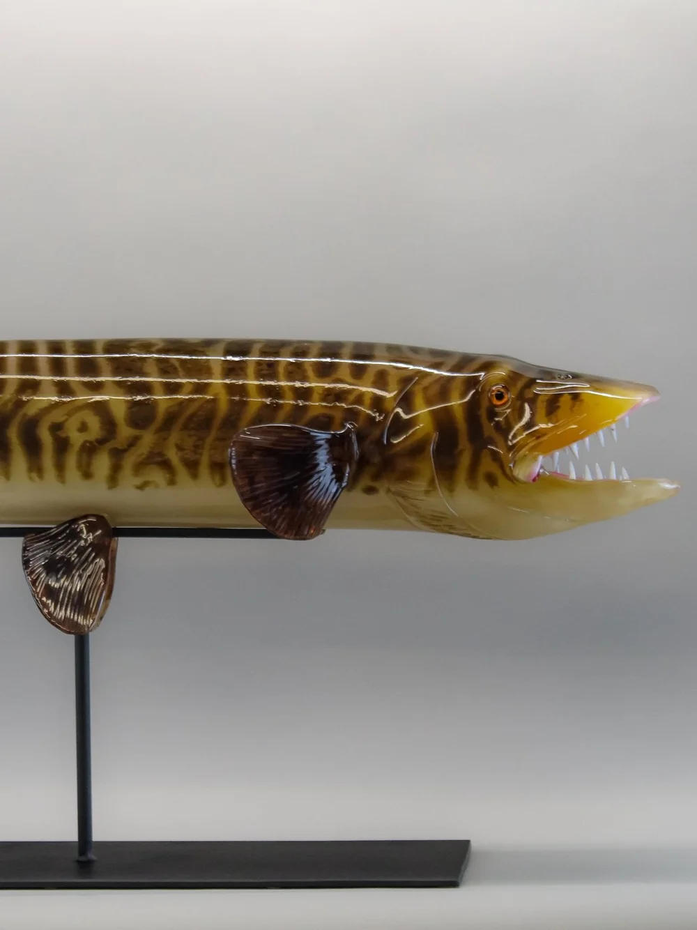 Shop for Blown Glass Fish — Martin Gerdin Glass
