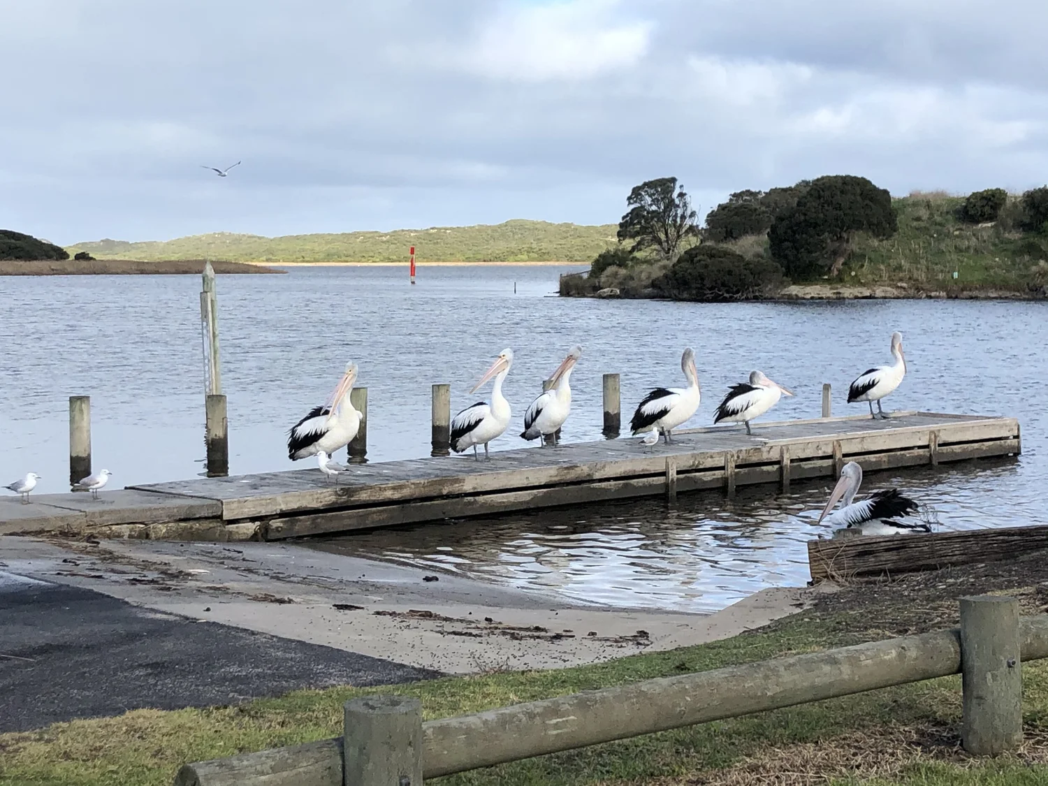 Cabins, Caravans + Camping — Visit Nelson