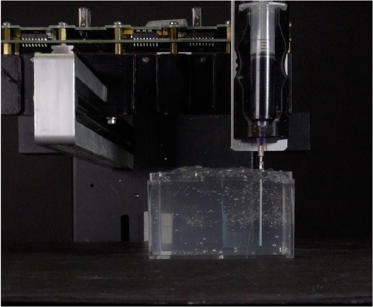 EpoMemory: Multi-state Shape Memory for Programmable Morphing ...