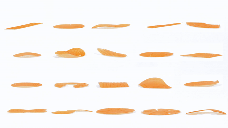 Transformative Appetite: Creative Workforce Support | Morphing ...