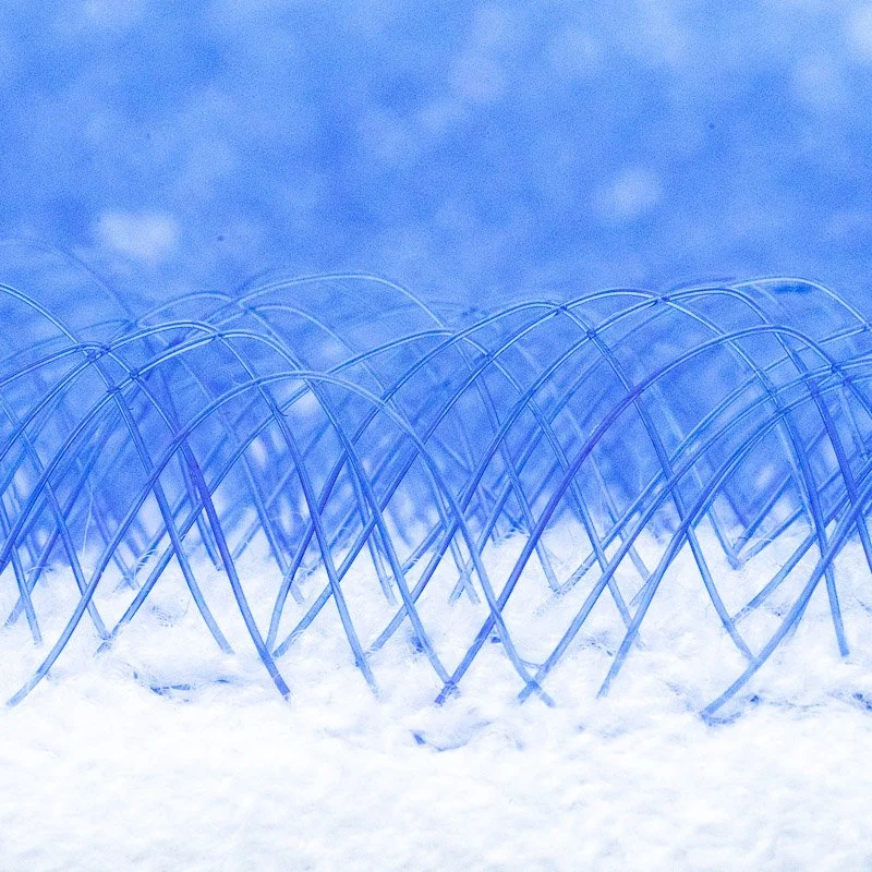 Morphing Matter Lab Directed by Lining Yao