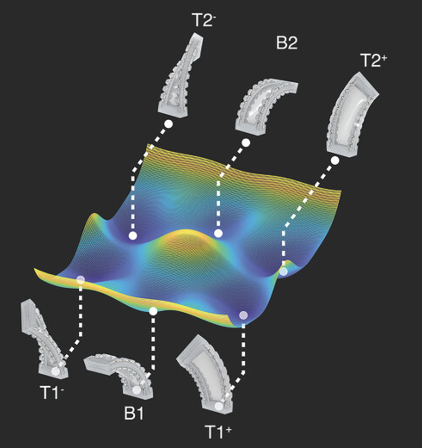 Publications — Morphing Matter Lab
