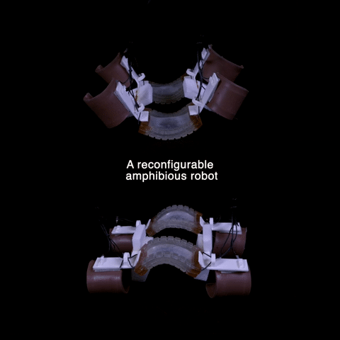 The “Best of Advanced Materials Technologies 2022 ” — Morphing Matter Lab