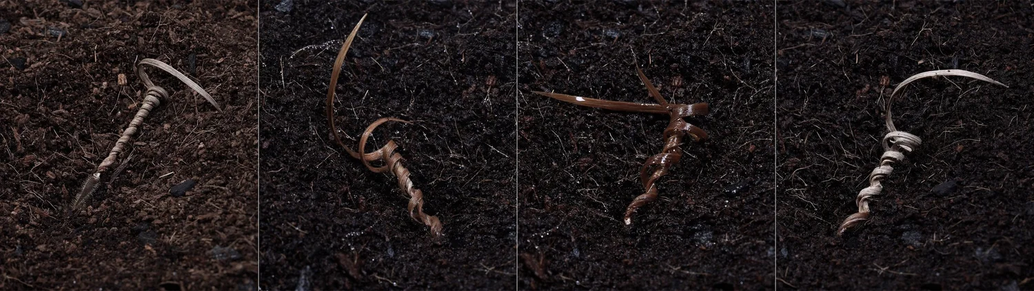 Rain Triggered Self-burying Seed Carrier — Morphing Matter Lab