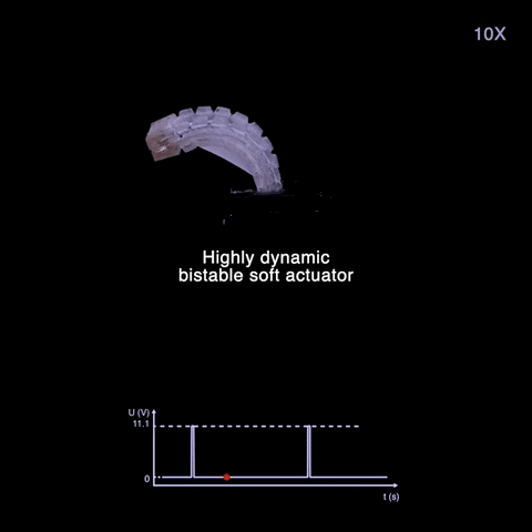 The “Best of Advanced Materials Technologies 2022 ” — Morphing Matter Lab