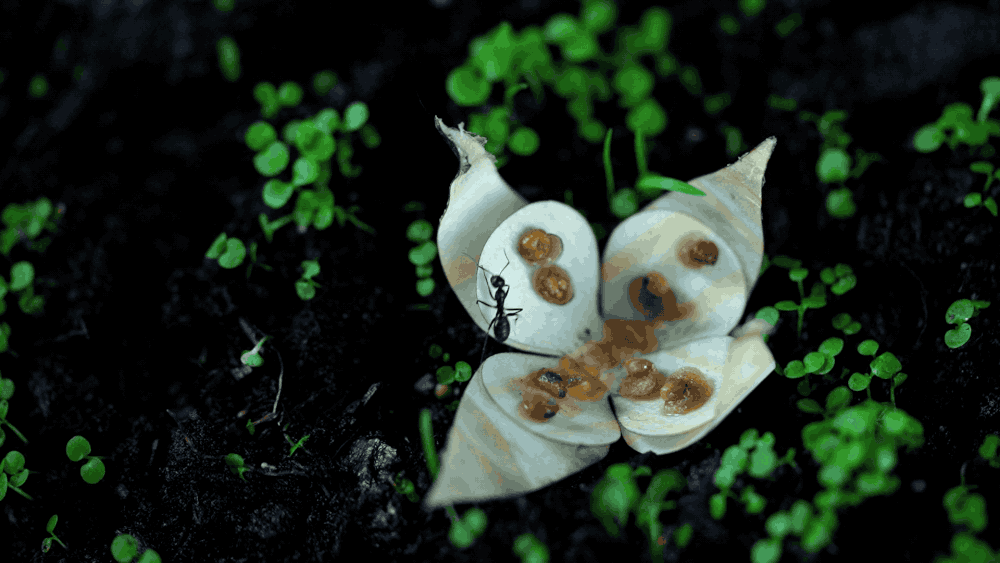 Degrade to Function: Towards Eco-friendly Morphing Devices — Morphing ...