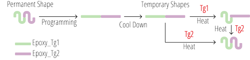 EpoMemory: Multi-state Shape Memory for Programmable Morphing ...