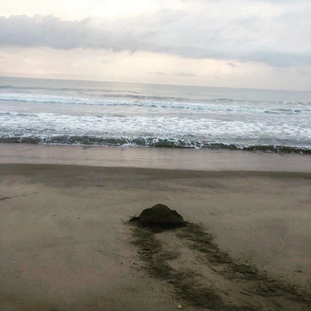 Gallery — Blue Diamond Beach Resort