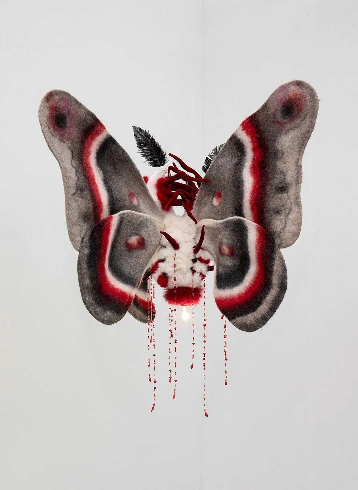 Alan Hernández — NO MAN'S ART GALLERY