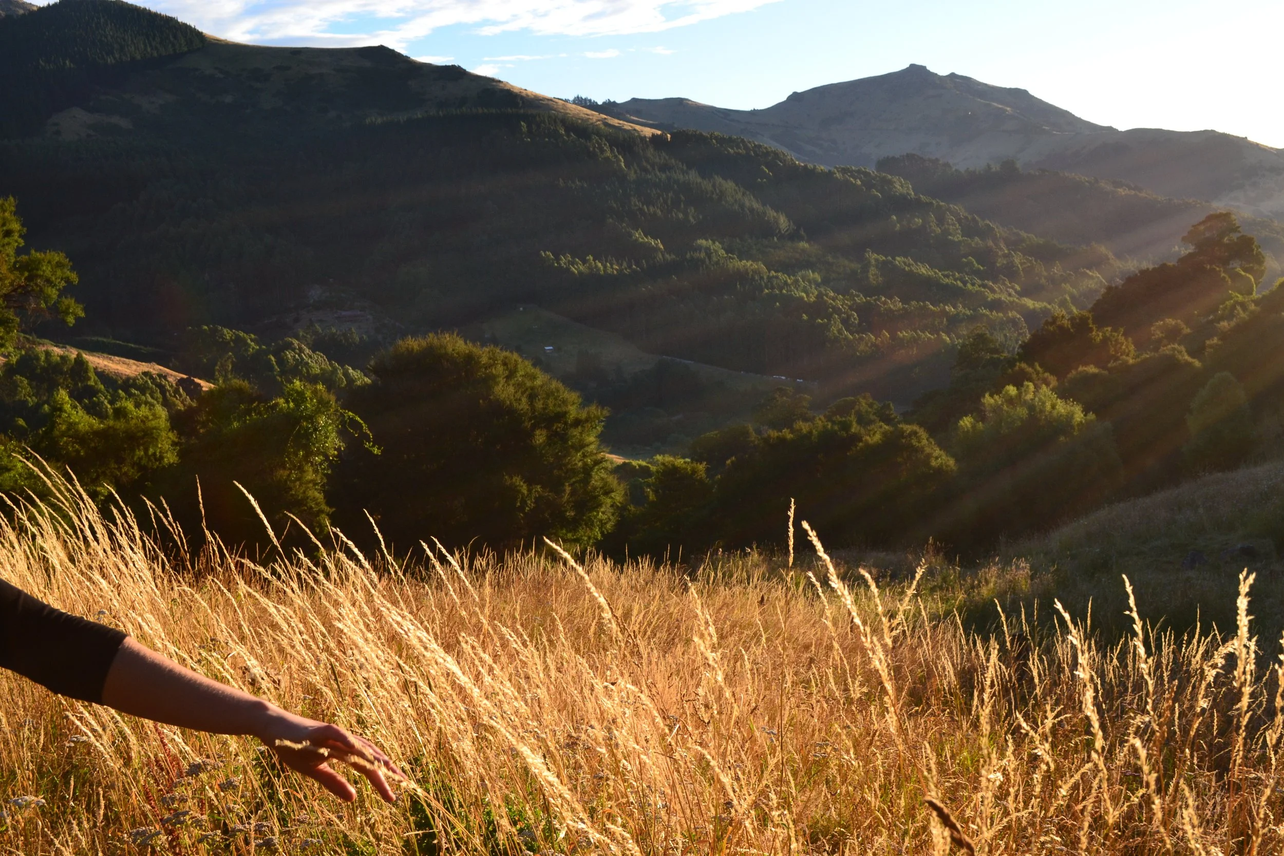 The Wilder Method - Naturopath, Narooma