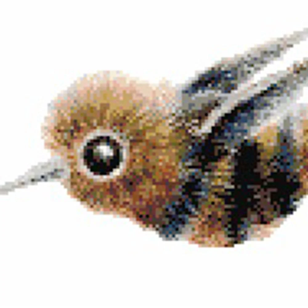 Bumble Bee I Cross Stitch Pattern — The Sewing Shop Inc.