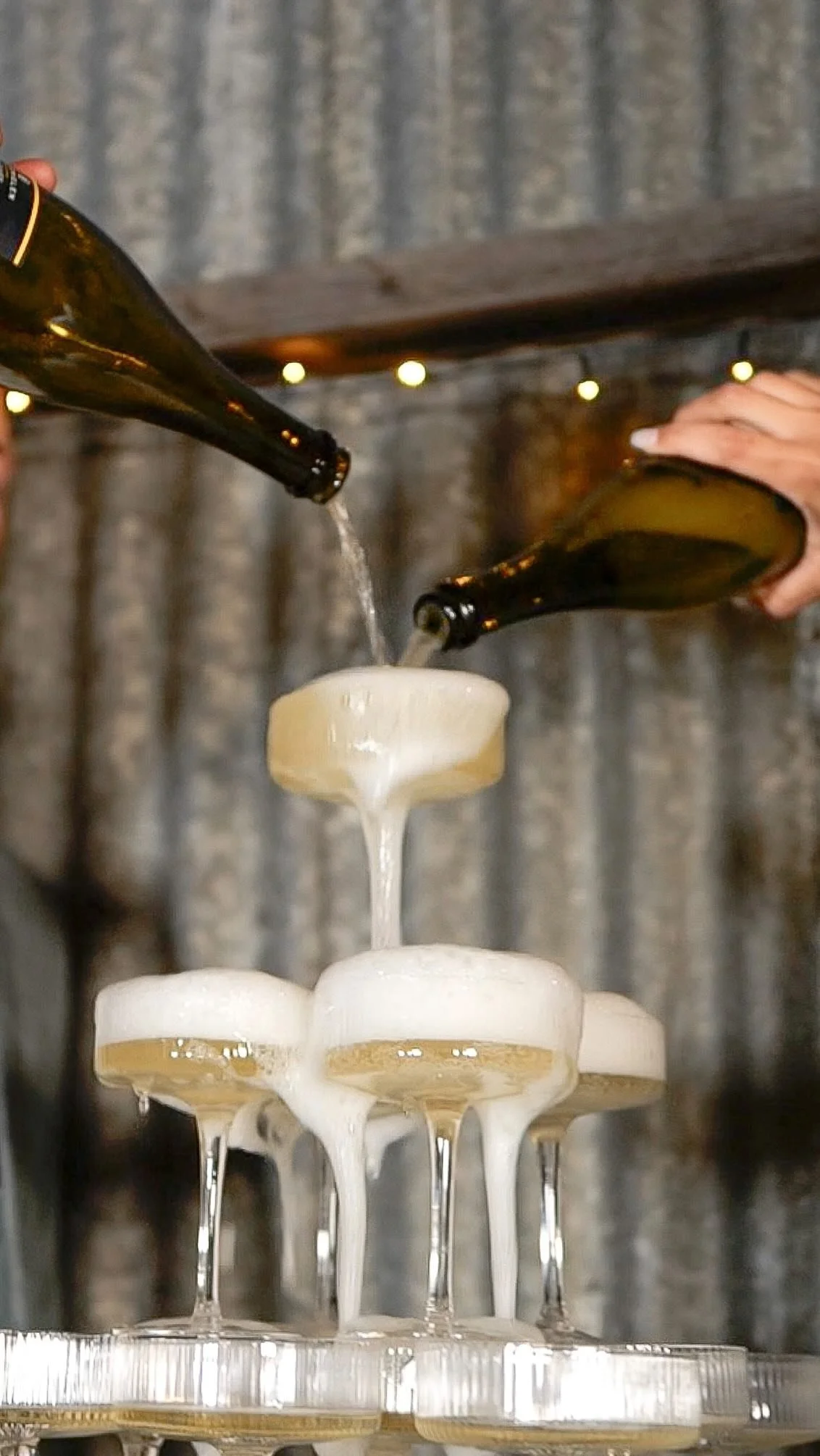 General 1 — Meg Fowler Productions