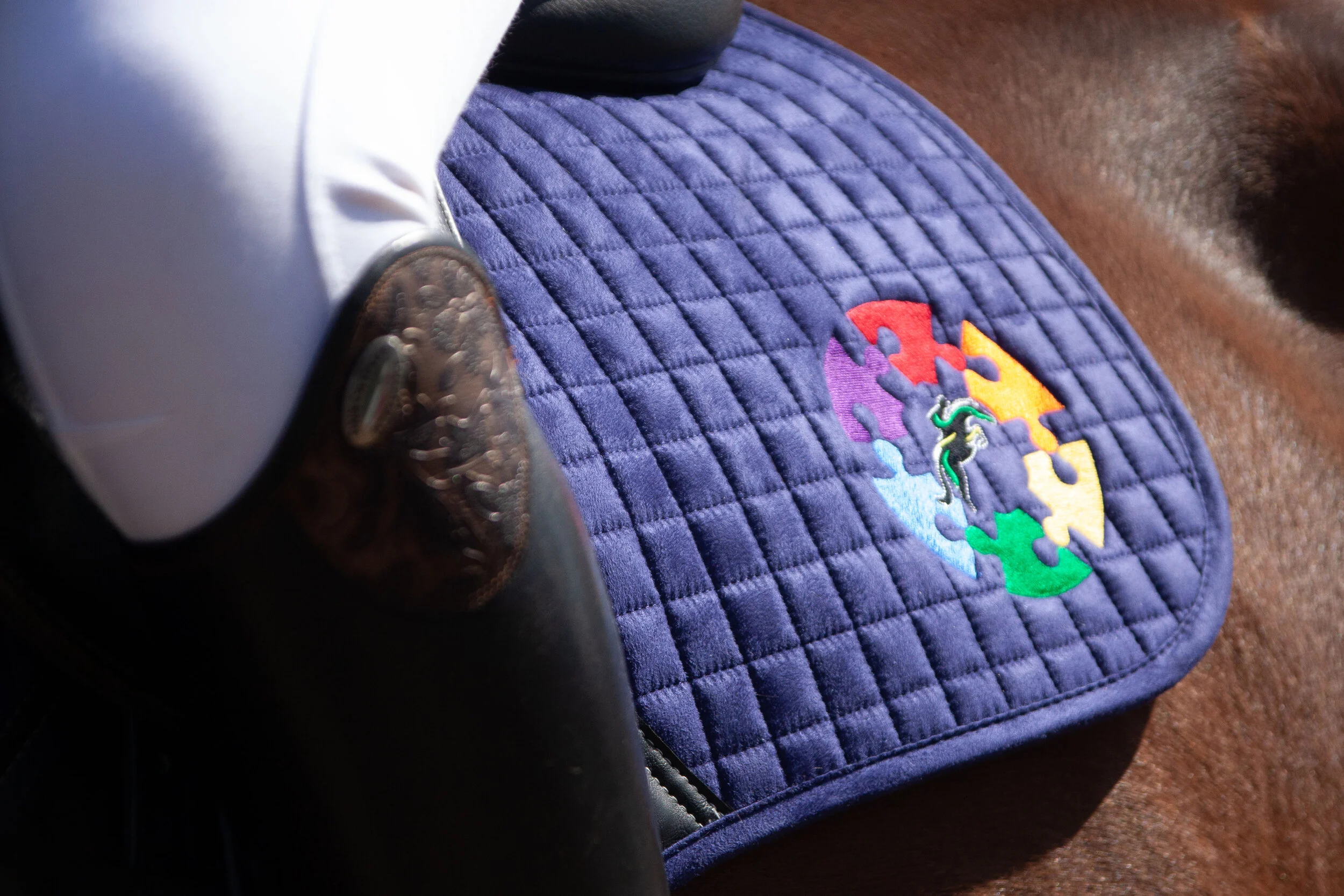 Cool Ridings Equestrian