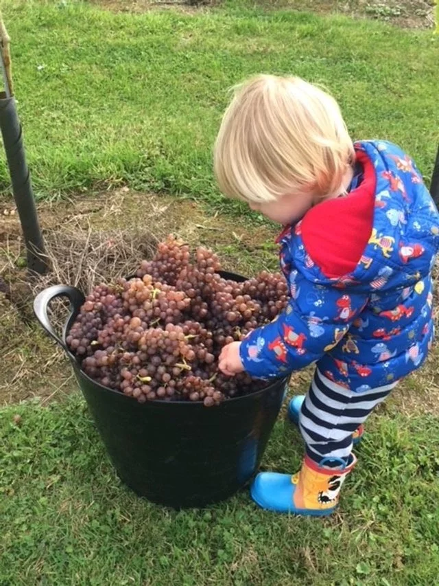 Our Story — The Althorne Estate