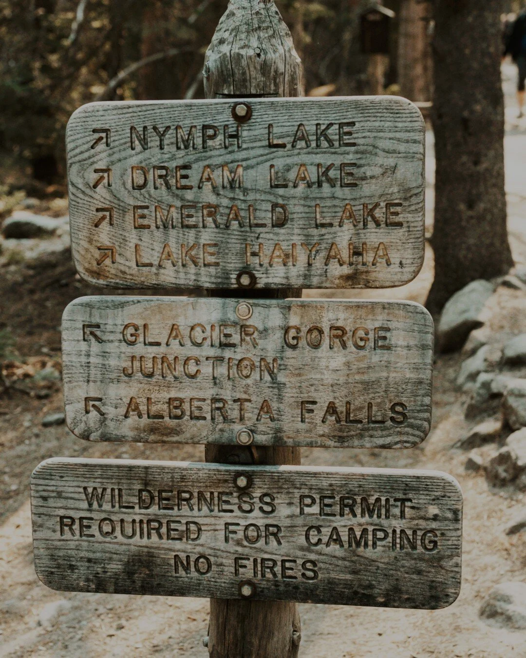 Dawn Louise Photography - Colorado Adventure Wedding Photographer