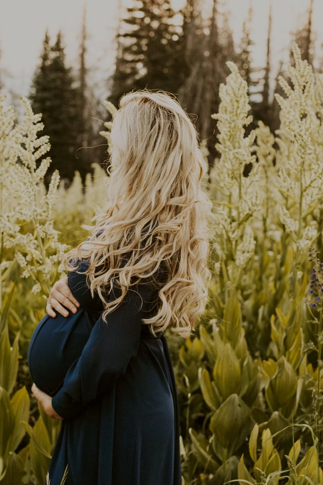 Dawn Louise Photography - Colorado Family + Wedding Photographer