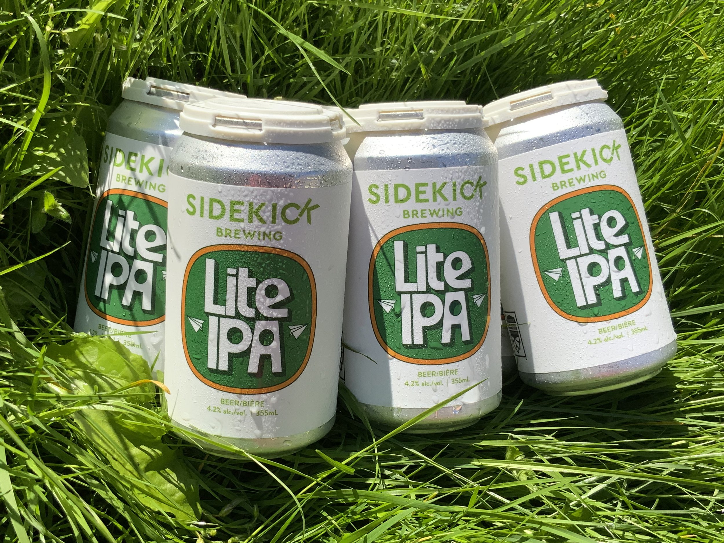 Sidekick Lite Beers — Leechtown