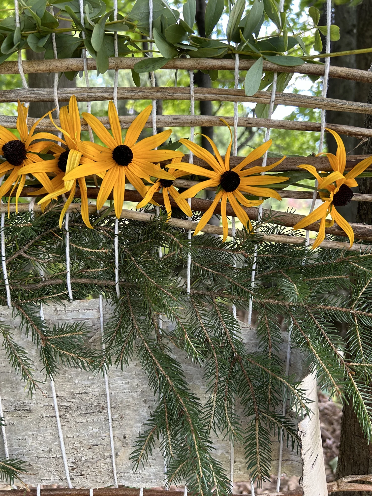 blog — sewandsowlife